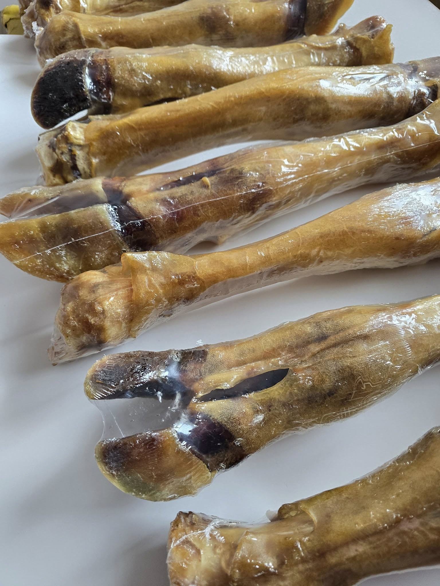 Cow Legs (Beef Feet) - Available in Person – Chewsy Chews